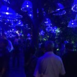 Medellin Christmas Lights Tour - A Detailed Look at the Medellin Christmas Lights Tour