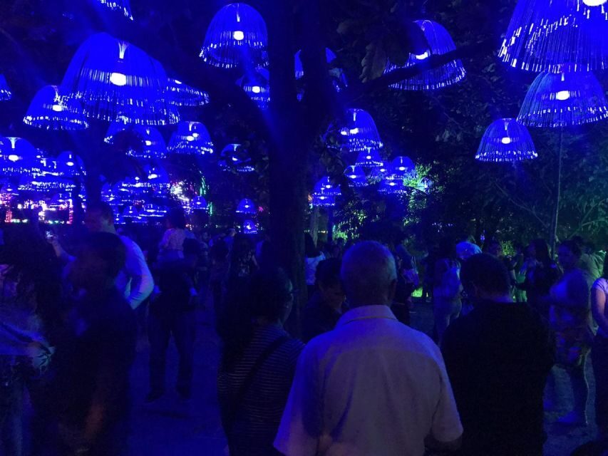 Medellin Christmas Lights Tour - A Detailed Look at the Medellin Christmas Lights Tour