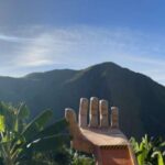 Medellin: Coffee and fruit tour - In-Depth Breakdown of the Tour