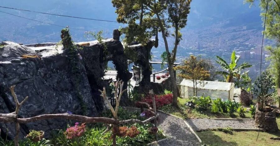 Medellin: Coffee Farm and Barista Workshop Experience - A Closer Look at the Itinerary