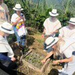 Medellin: Coffee Tour with Hotel Transfers and Meals - Authenticity and Value