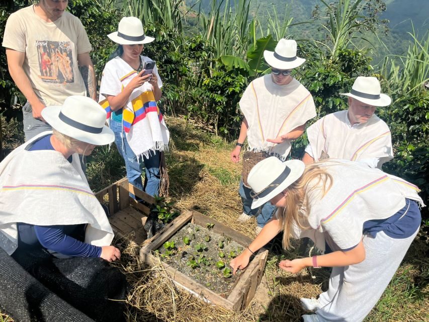 Medellin: Coffee Tour with Hotel Transfers and Meals - Authenticity and Value