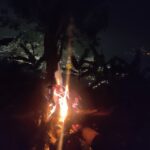 Medellin: Glamping Spa and coffee tour Experience - Value and Practical Considerations