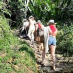 Medellin: Guatapé Day Tour with Coffee Farm Visit - Practical Details