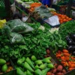 Medellín Multi-sensory Tour in the market, +15 Exotic Fruits - Why This Tour Matters for Your Medellín Visit