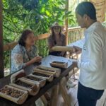 Medellin to Fredonia for a Coffee Day Tour - The Experience: What Sets It Apart