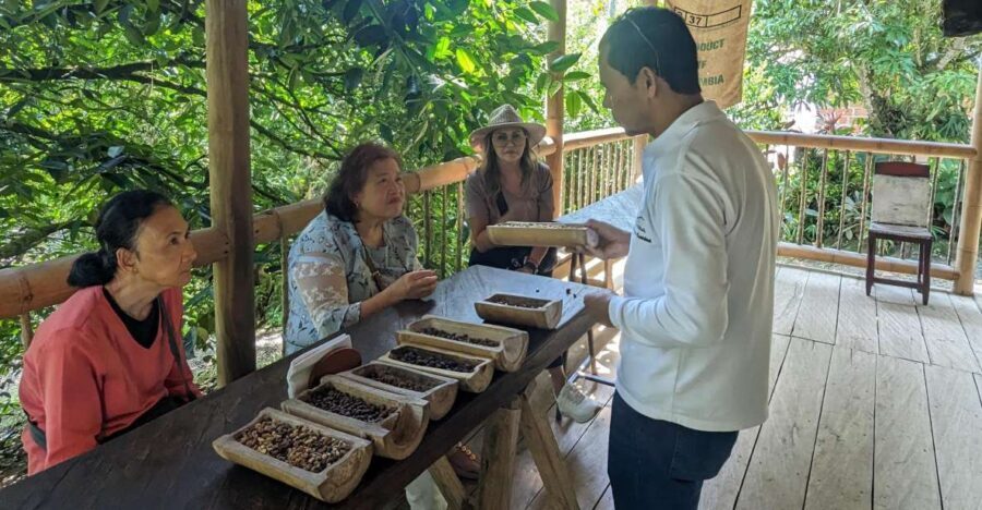 Medellin to Fredonia for a Coffee Day Tour - The Experience: What Sets It Apart