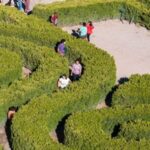 Mendoza: Borges Labyrinth: Lunch, Literary Workshop & Winery - A Deep Dive Into the Mendoza Borges Labyrinth Tour