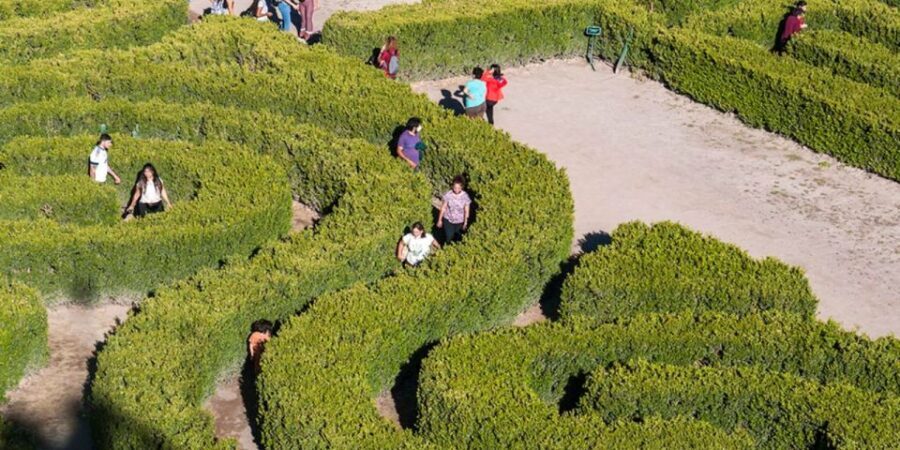 Mendoza: Borges Labyrinth: Lunch, Literary Workshop & Winery - A Deep Dive Into the Mendoza Borges Labyrinth Tour
