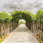 Mendoza: El Enemigo and Casa Vigil Wine Tour - What Do We Think About the Price?