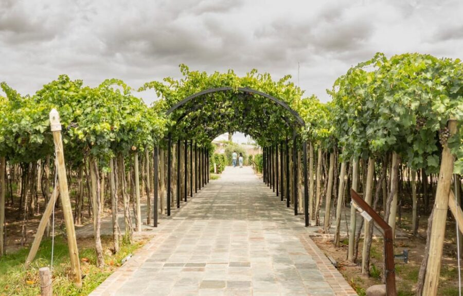 Mendoza: El Enemigo and Casa Vigil Wine Tour - What Do We Think About the Price?