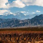 Mendoza: Full Day Wine Tour with 3 Course Lunch - Practical Details and What to Expect