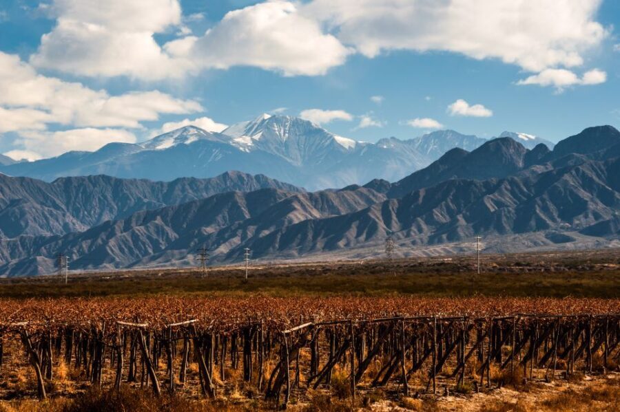 Mendoza: Full Day Wine Tour with 3 Course Lunch - Practical Details and What to Expect