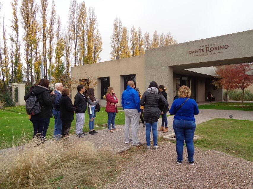 Mendoza: Half-Day Wine Tour with Tastings - The Real Traveler Perspectives