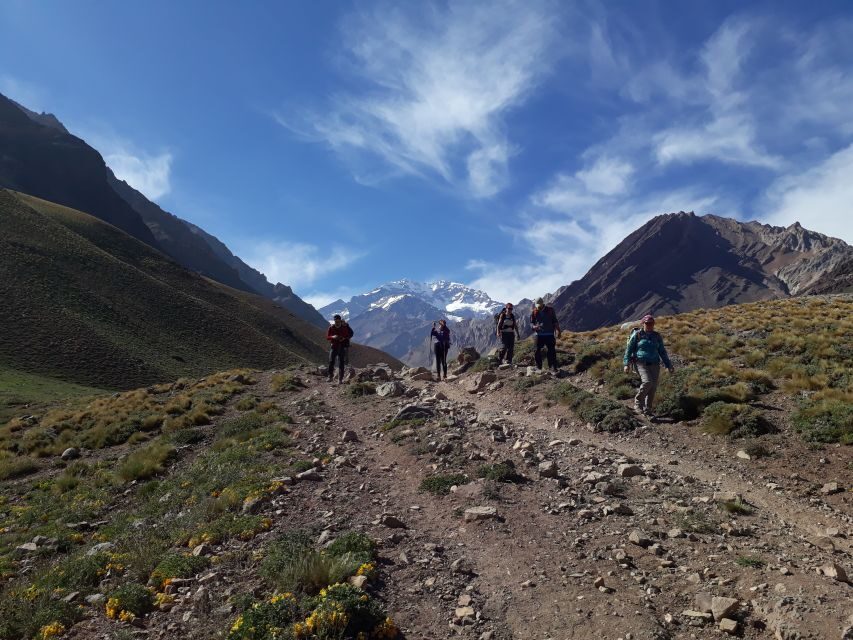 Mendoza: High Mountain and Aconcagua Park Tour with BBQ - The Value of This Tour