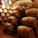Mendoza: Small-Group Wineries Tour with Tasting and Lunch - Who Should Book This Tour?