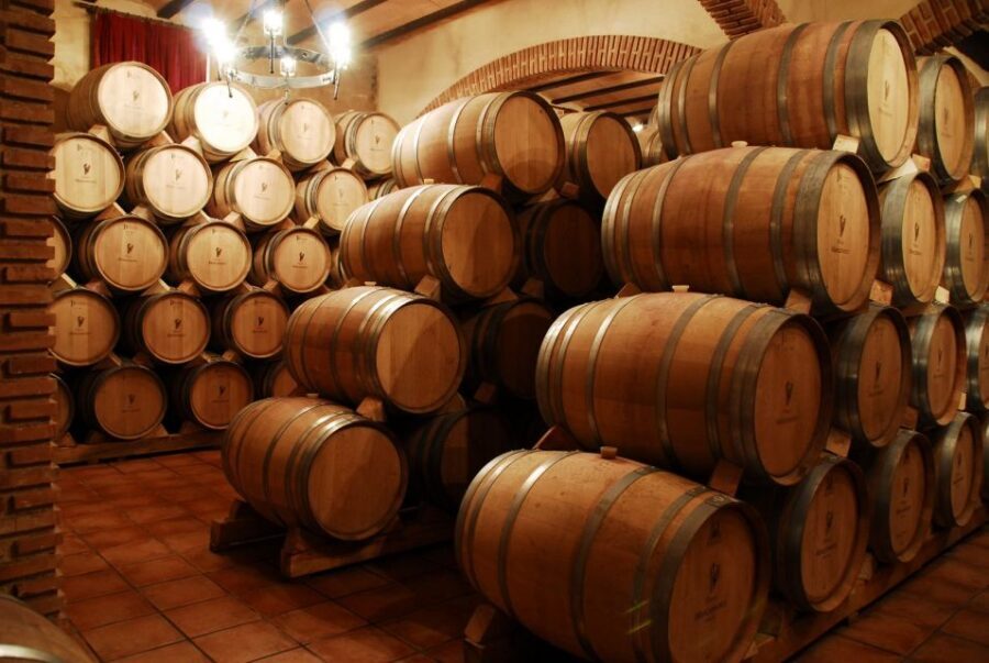 Mendoza: Small-Group Wineries Tour with Tasting and Lunch - Who Should Book This Tour?