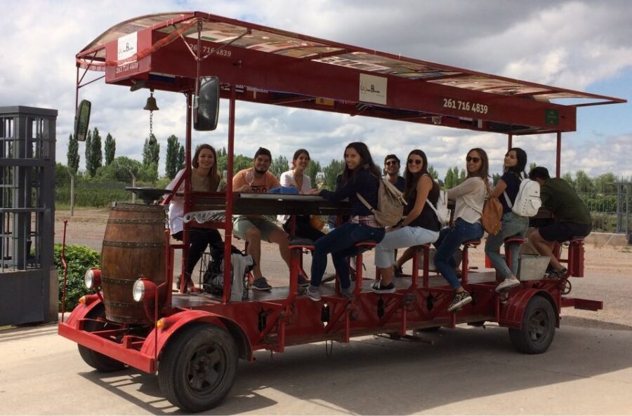 Mendoza: Winebike Tasting Tour with Optional Lunch - The Itinerary in Detail