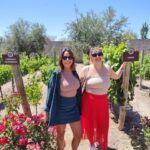 Mendoza's top wineries! Semi-private tour - A Detailed Look at the Itinerary