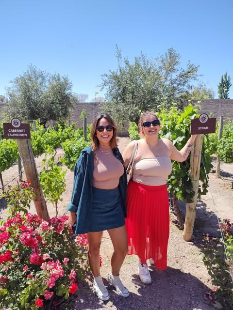 Mendoza's top wineries! Semi-private tour - A Detailed Look at the Itinerary