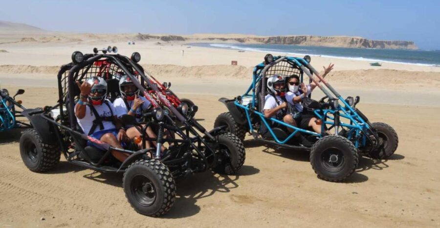 Minibuggy Adventure and visit to the Paracas Reserve - The Sum Up