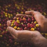 Most complete COFFEE TOUR at local family farm - Why This Tour Offers Great Value