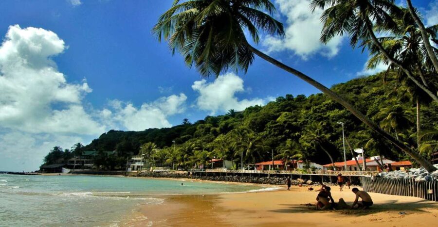 Natal: South Coast Day Tour by 4X4 with Pickup - What to Expect on the Tour