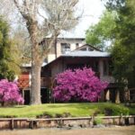 Navigation in Delta of Tigre - Exclusive semi private tour - The Real Value of the Tour