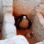 Nazca - Chauchilla Cemetery Tour - What to Expect During the Tour