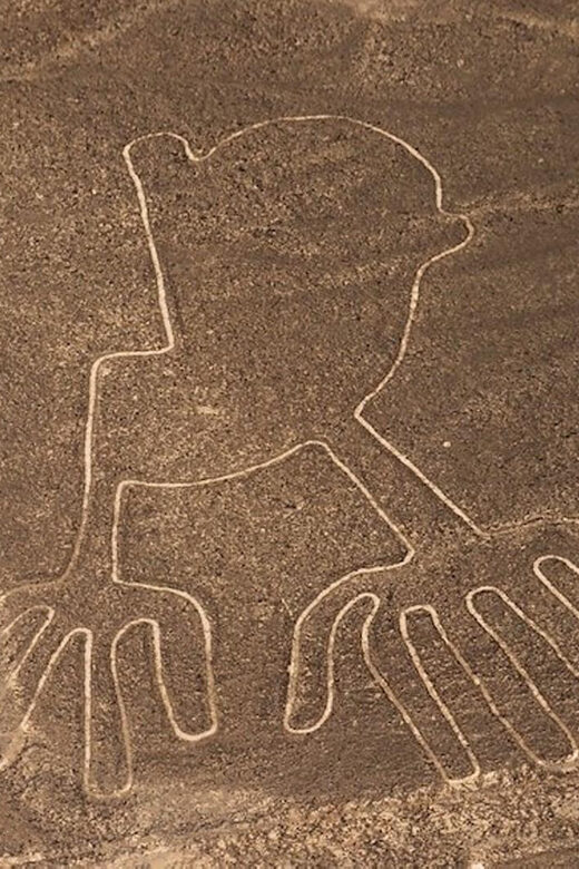 Nazca Lines Aerial Tour - Who Would Love This Tour?