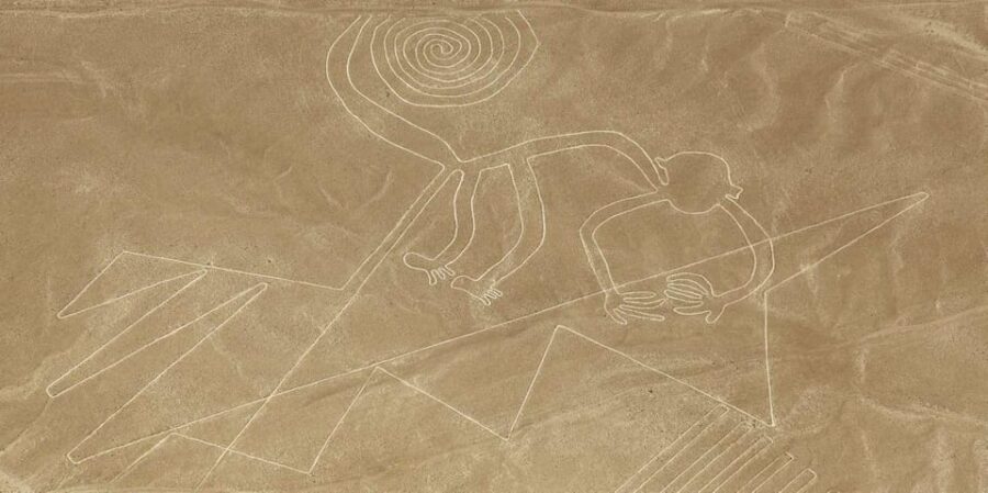 Nazca Lines Overflight Tour - Departure from Ica - Why This Tour Stands Out