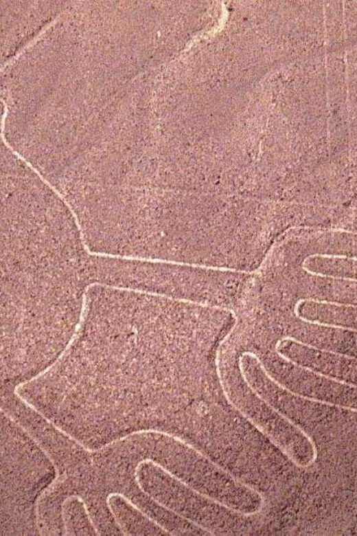Nazca Lines Tour from Lima: Mysterious Geoglyphs Flight - What’s Included and What’s Not: An Honest Breakdown