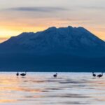 Offer Price Tour Salinas Lagoon and National Reserve 8 hours - The Journey and Its Highlights