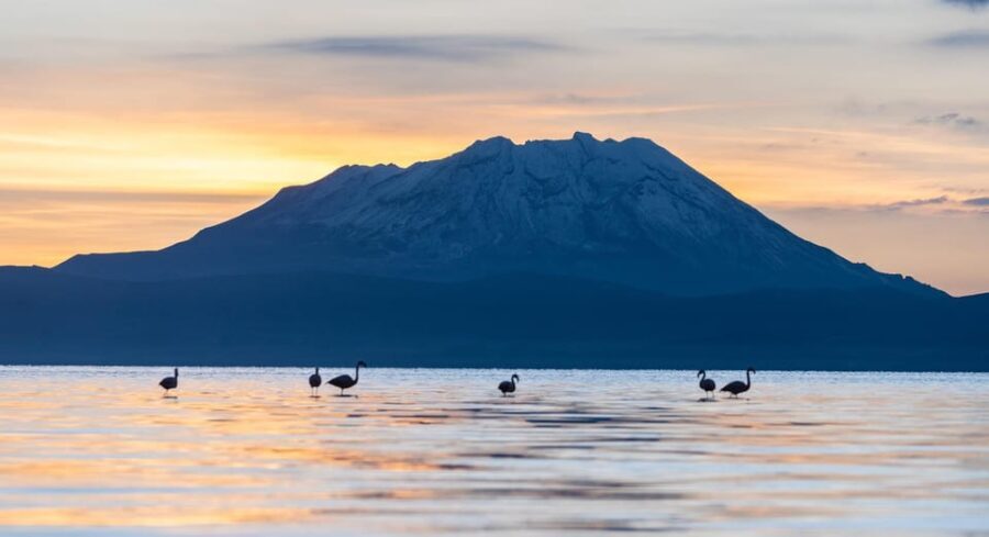 Offer Price Tour Salinas Lagoon and National Reserve 8 hours - The Journey and Its Highlights