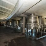 Organic & Biodynamic Wine Adventure in Mendoza - What Makes This Tour Stand Out?