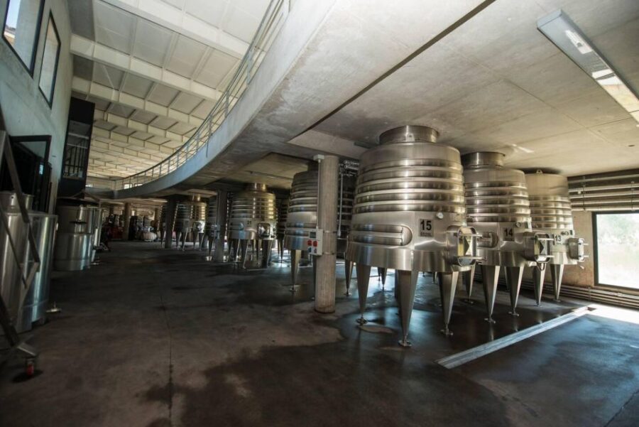 Organic & Biodynamic Wine Adventure in Mendoza - What Makes This Tour Stand Out?