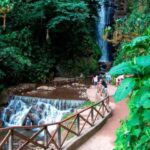 Oxapampa : Tigre River Waterfall and Jungle Secret - What to Expect and Practical Considerations