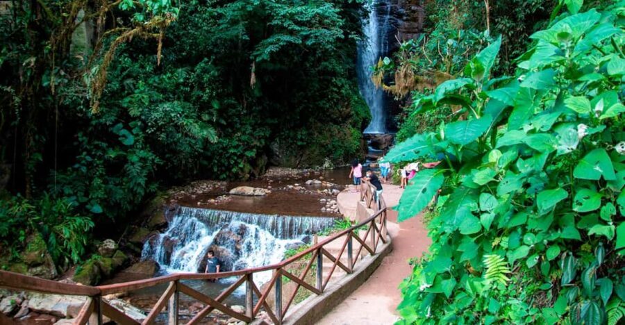 Oxapampa : Tigre River Waterfall and Jungle Secret - What to Expect and Practical Considerations