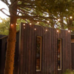 Pablo Bernasconi's Art Gallery Guided Tour - The Practical Details: What You Need to Know