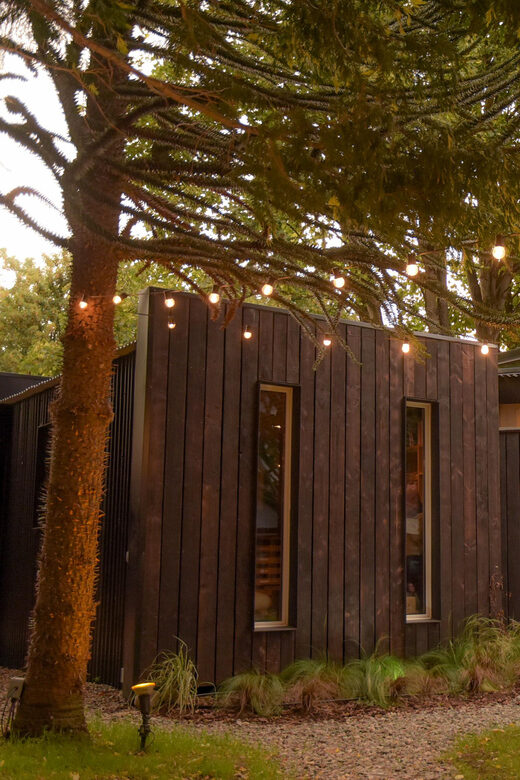 Pablo Bernasconi's Art Gallery Guided Tour - The Practical Details: What You Need to Know