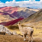 Palccoyo Rainbow Mountain Tour - Cultural and Natural Highlights