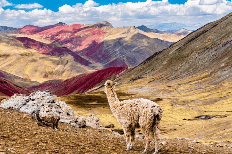 Palccoyo Rainbow Mountain Tour - Cultural and Natural Highlights