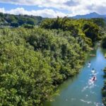 Palomino: Palomino River Paddle Board Adventure - Who Should Consider This Tour?