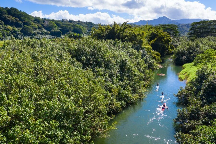 Palomino: Palomino River Paddle Board Adventure - Who Should Consider This Tour?
