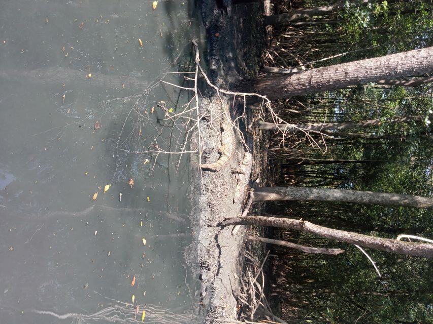 Pantanal of Rio de Janeiro - The Sum Up