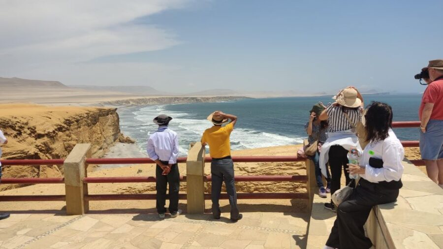 Paracas: Ballestas Island & Nature Reserve all inclusive - The Value Proposition