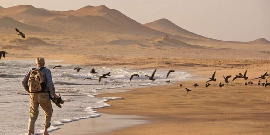 Paracas : Ballestas Islands & Paracas Reserve - Full Day - Practical Aspects and Value