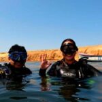Paracas: Diving - Dive into the sea - The Itinerary Breakdown