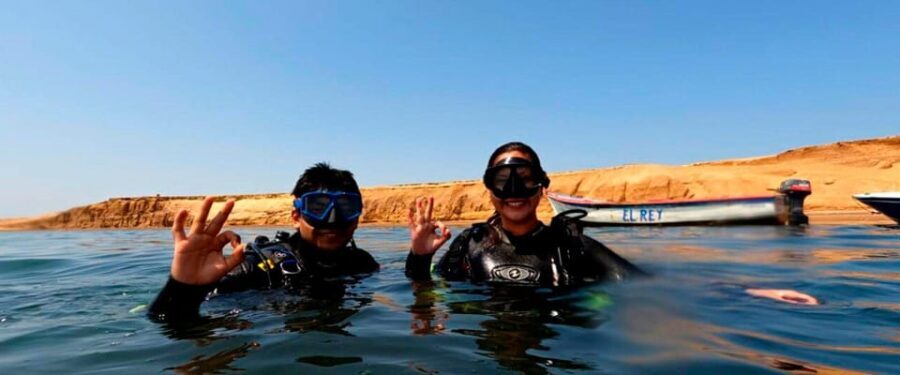 Paracas: Diving - Dive into the sea - The Itinerary Breakdown