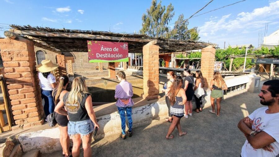 Paracas or Pisco: Private Huacachina Oasis Tour & Buggy Ride - Who Should Consider This Tour?